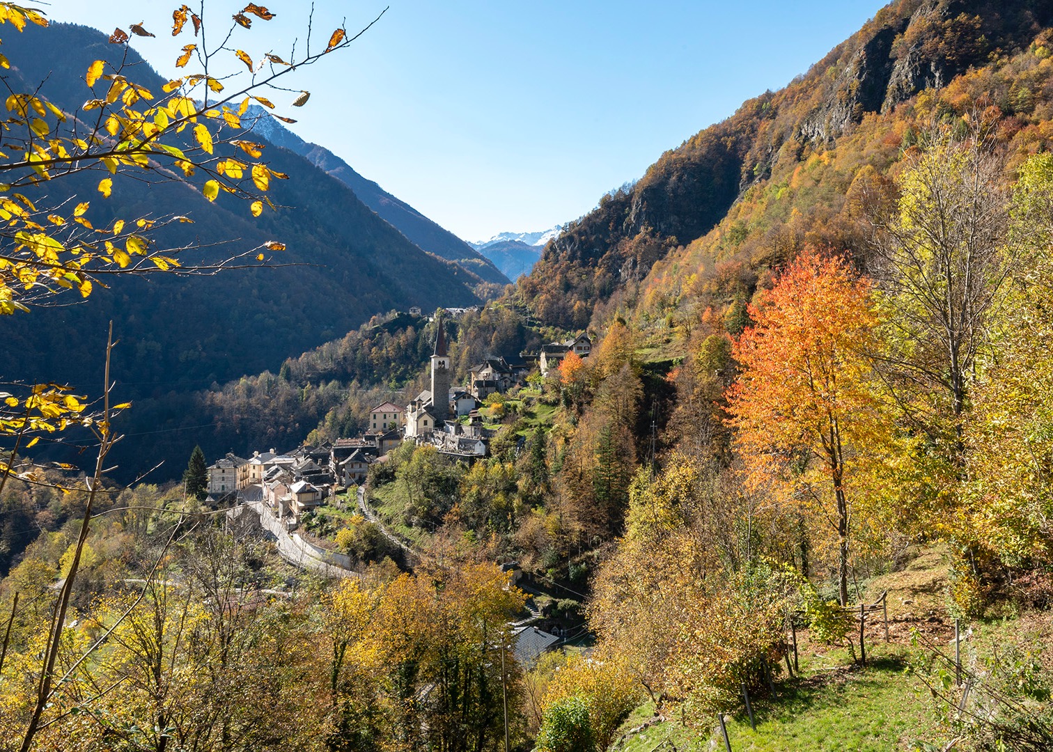 Molini di Calasca - Alpe La Colma dei Prei🟡☀ | Macugnaga-Monterosa